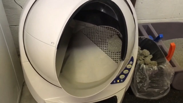 Watch Litter Robot 3 - How a Self-Cleaning Litter Box Works on Amazon Live