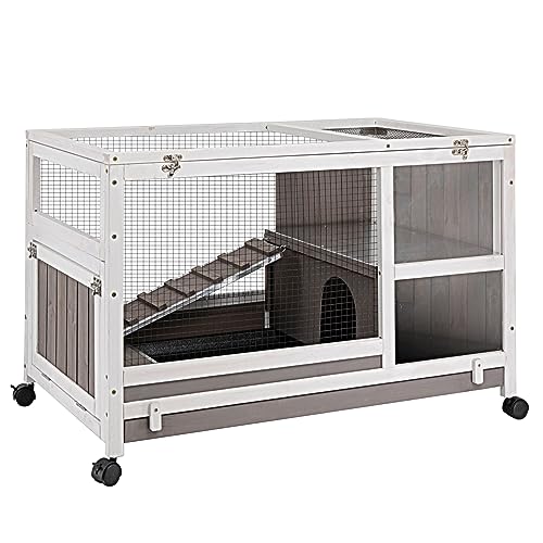 Small Guinea Pig Cage – The 16 best products compared - wonder-pets.net ...