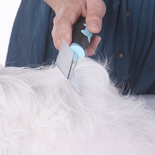 The 29 Best Small Animal Combs of 2025 [Verified] - Cherry Picks