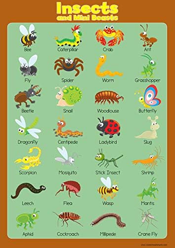 Wisdom Learning Learn Insects Wall Chart Educational Toddlers Kids ...