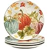 Amazon.com | Certified International Harvest Autumn Havest 16 Pc ...