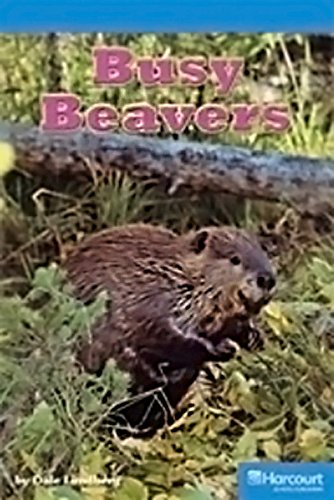 Amazon.com: Busy Beaver on Level Reader Grade 3: Teacher Guide ...