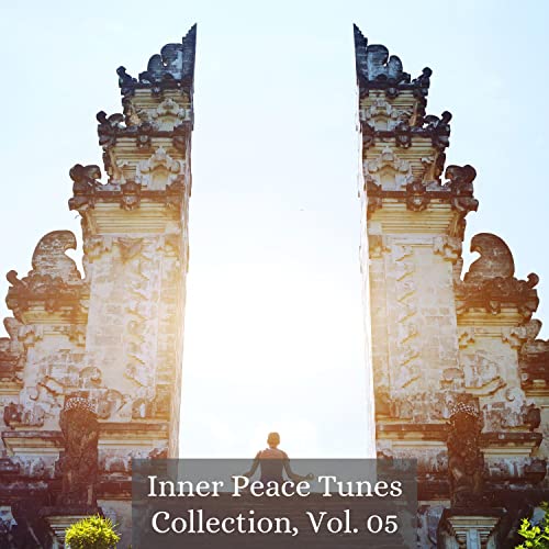 Écouter Inner Peace Tunes Collection, Vol. 05 par VARIOUS ARTISTS sur ...