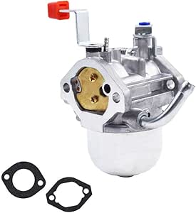 Amazon.com: ALL-CARB 0A4600 Carburetor for Generac XG8000E 091187 ...