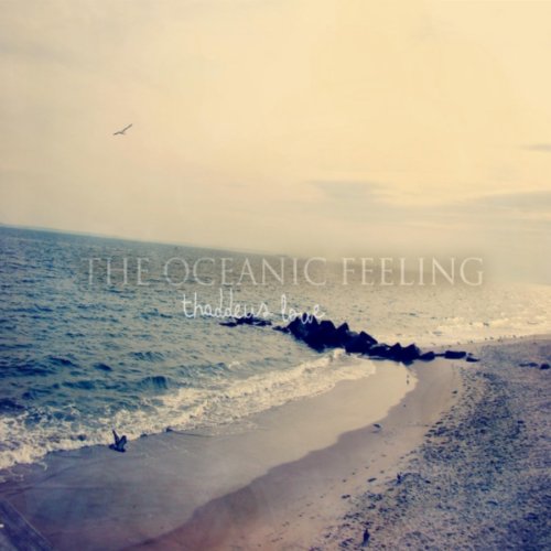 Amazon.com: The Oceanic Feeling : Thaddeus Lowe: Digital Music
