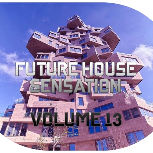 Amazon.com: Future House Sensation, Vol.13 (BEST SELECTION OF CLUBBING ...