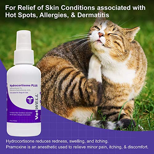 VetWELL Hydrocortisone Spray For Dogs & Cats - Itchy Skin Relief From ...