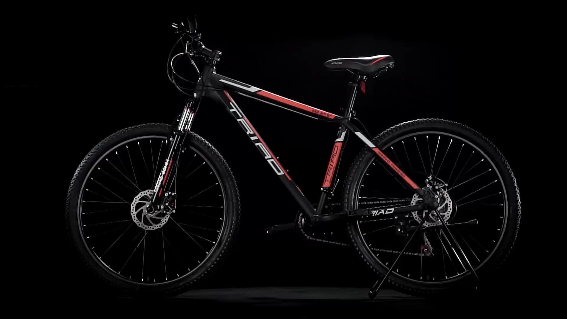 Triad Speed Mountain Bicycle