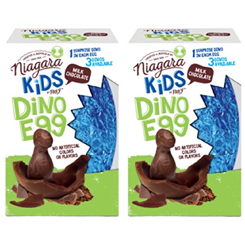 Amazon.com: Easter Candy Egg- Niagara KIds Dino Egg, A Milk Chocolate ...