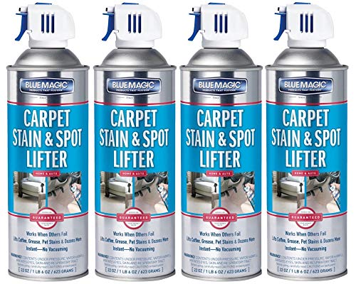 Find The Best Blue Magic Carpet Cleaner Reviews & Comparison - Katynel