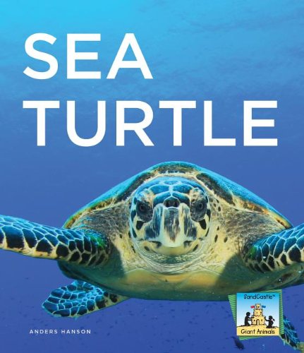 Sea Turtle (Giant Animals): Hanson, Anders: 9781624030611: Amazon.com ...