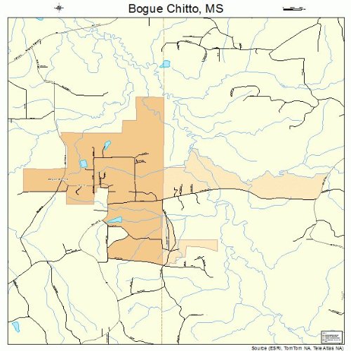 Amazon.com: Large Street & Road Map of Bogue Chitto, Mississippi MS ...