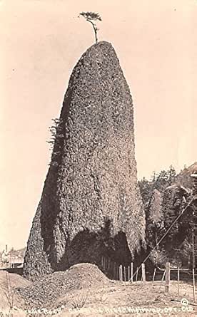 Needle Rock Columbia River Highway, Oregon postcard at Amazon's ...