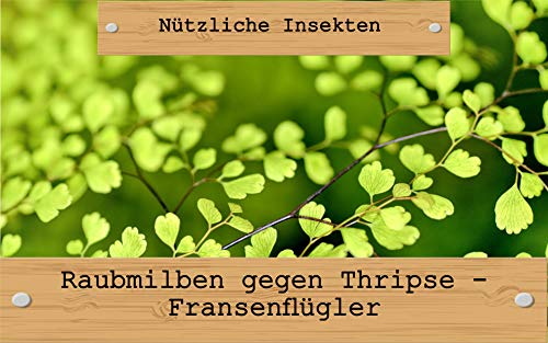 ᐅ】Raubmilben – biologische Schädlingsbekämpfung