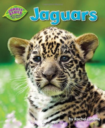 Jaguars (Jungle Babies of the Amazon Rain Forest): Lynette, Rachel ...
