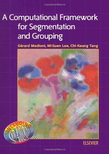 A Computational Framework For Segmentation And Grouping Buy Online At