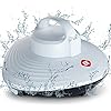 Amazon.com : HYDRUS Robotic Cordless Pool Vacuum Cleaner with Brushless ...