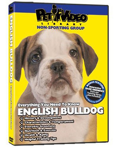Amazon.com: English Bulldog DVD: Everything You Should Know + Dog ...