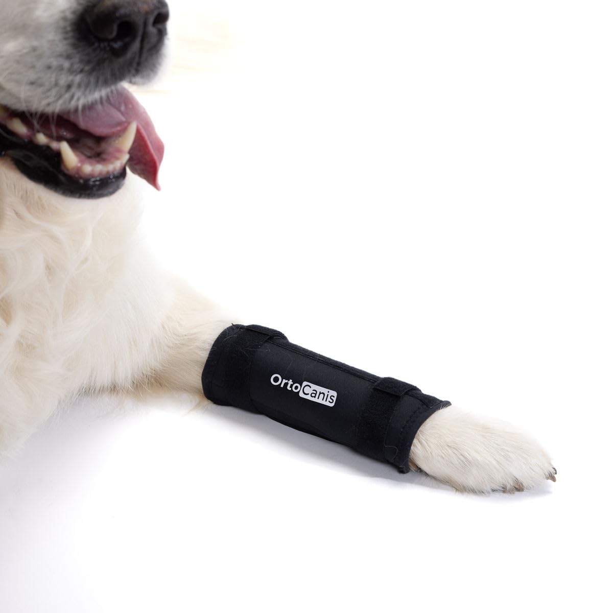 Amazon.com: Ortocanis - Dog Carpal Support Brace - Carpal Instability ...