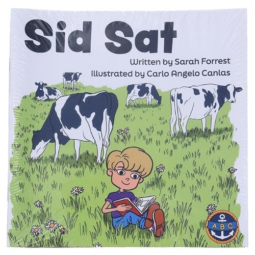 All Aboard Phonics Phases 2-4 Decodable Book Set 1: Amazon.co.uk ...