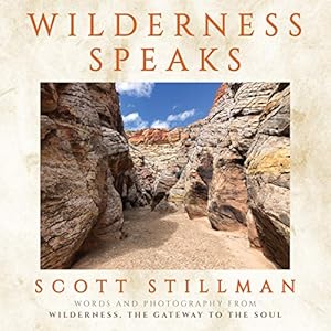 Amazon.com: Wilderness, The Gateway To The Soul: Spiritual ...