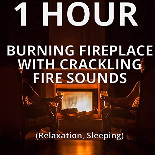 Play 1 Hour Burning Fireplace with Crackling Fire Sounds by Fireplace ...