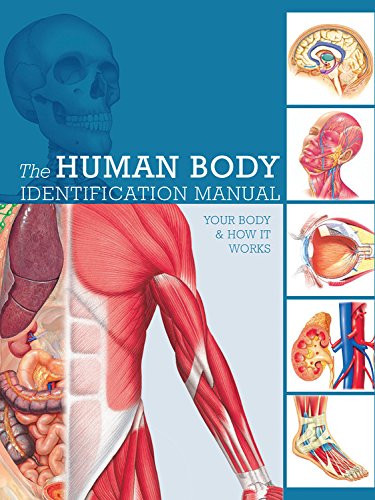 Human Body Identification Manual: Your body and how it works: Ashwell ...