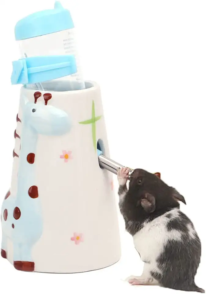 Are Guinea Pigs Rodents? The Truth Behind Their Classification | PetShun