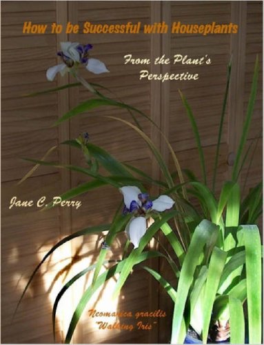 How To Be Successful with Houseplants From the Plant's Perspective ...