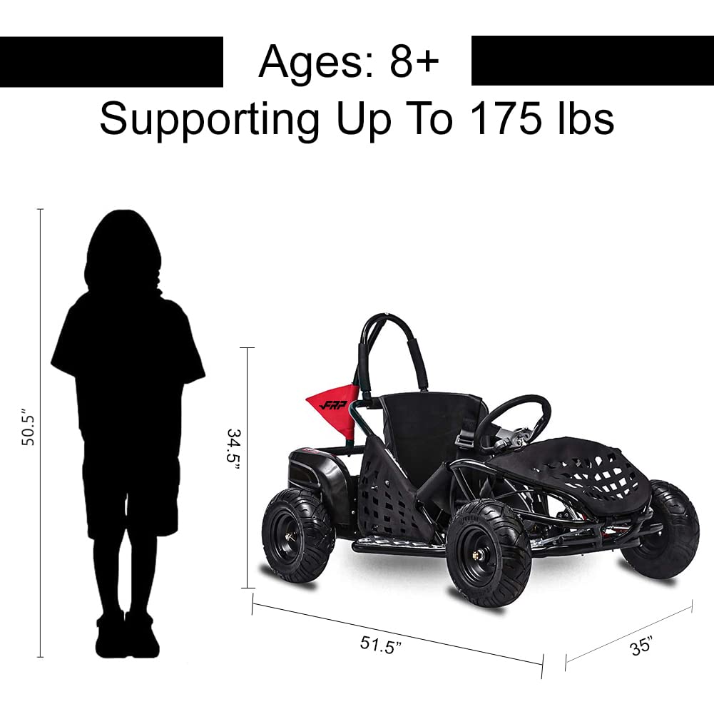 FIT Right 2020 Baja-X 48 Volt 1000 Watt Brushless Electric Go Kart, 3 ...