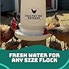 Amazon.com : The Original Poultry Pro Waterer | DIY Chicken Waterer for ...