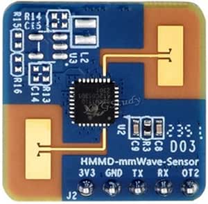Amazon.com: Human Micro-Motion Detection mmWave Sensor Based On ...