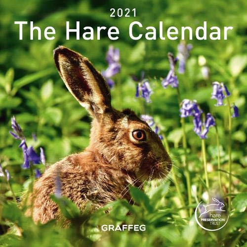 The Hare Calendar 2021: Amazon.co.uk: Hare Preservation Trust ...