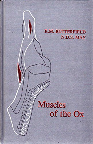 Muscles of the Ox: Butterfield, Rex Milton: 9780702204005: Amazon.com ...