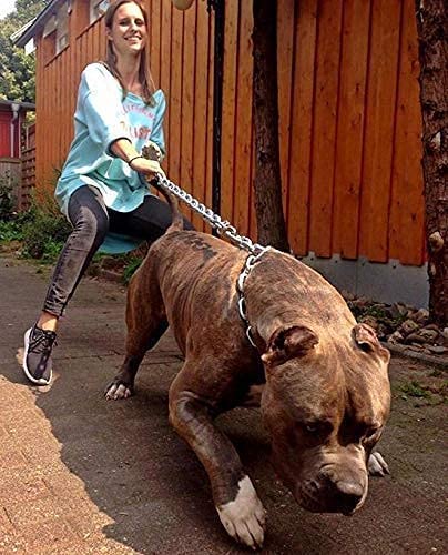 Pups&Pets Heavy Weight Stainless Steel Long Chain Diamond Cut Leash ...