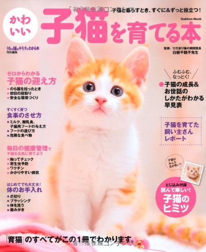 Amazon.com: This grow cute kittens this special editing know the ...