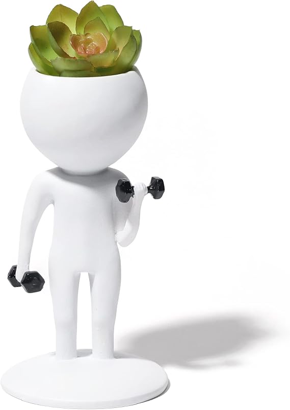 Amazon.com : Weight Lifting Succulent Planter, Gym Succulent Planter ...