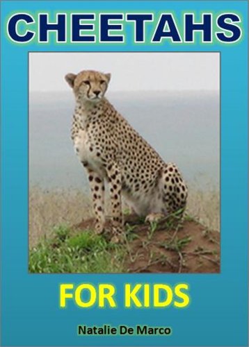 Childrens Readers: Cheetahs For Kids - Discover the Amazing World of ...
