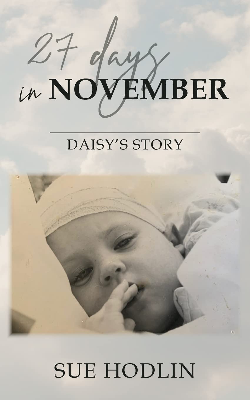 27 Days in November: Daisy’s Story: Hodlin, Sue: 9781803692074: Amazon ...