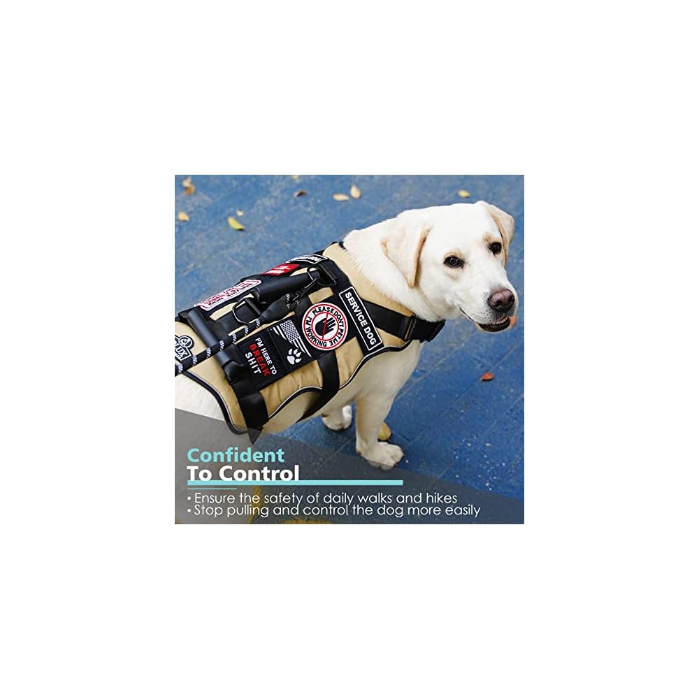 Bolux Tactical Dog Harness with Double Handles and Nepal | Ubuy