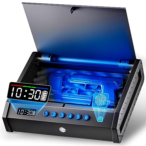 Top 10 Gun Safe For Handguns of 2022 - Katynel