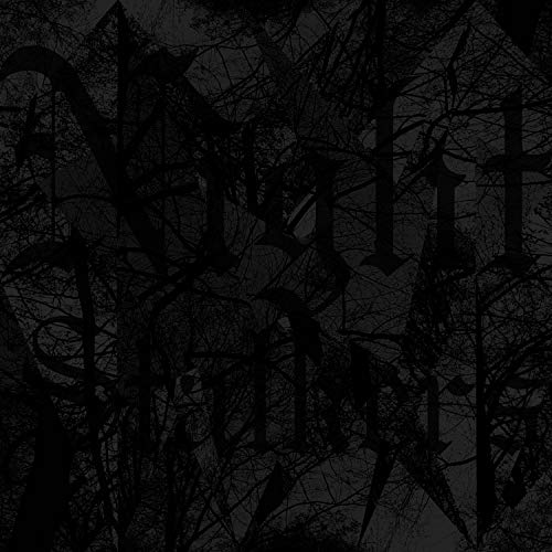 Play Night Stalkers by Damien Void on Amazon Music