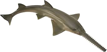 Amazon.co.jp: CollectA 88659 Sawtooth Fish Figure : Hobbies