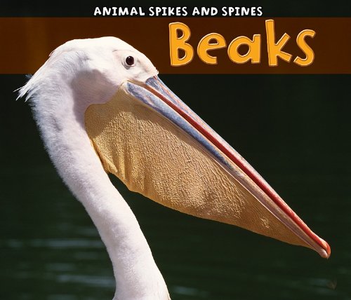 Beaks (Animal Spikes and Spines): Rissman, Rebecca: 9781432950453 ...