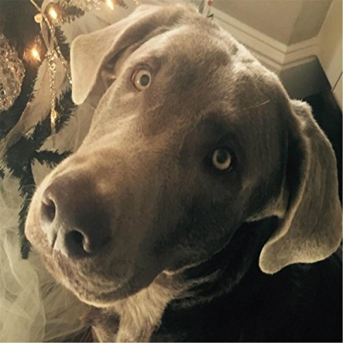 Amazon.com: Lights : George Dunham: Digital Music