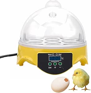 Amazon.com: ARMARD 7 Pieces Small Mini Incubator Egg Incubator with ...