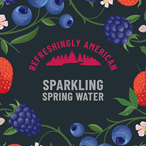 Sparkling Water Berry Cans at Thomas Lujan blog