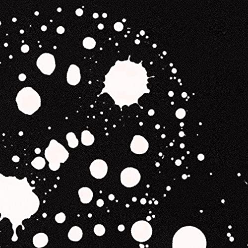 SHE SHY (BLED and SPED) de Ayce Comet en Amazon Music Unlimited