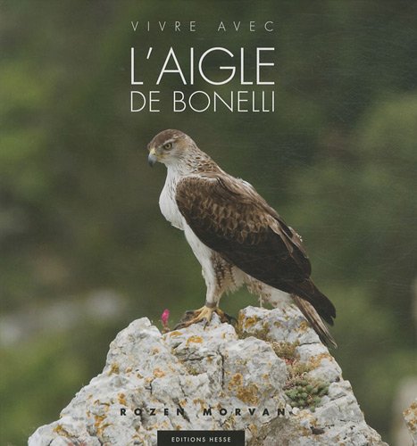 Amazon.fr - VIVRE AVEC L AIGLE DE BONELLI - Morvan, Rozen, Larrey ...