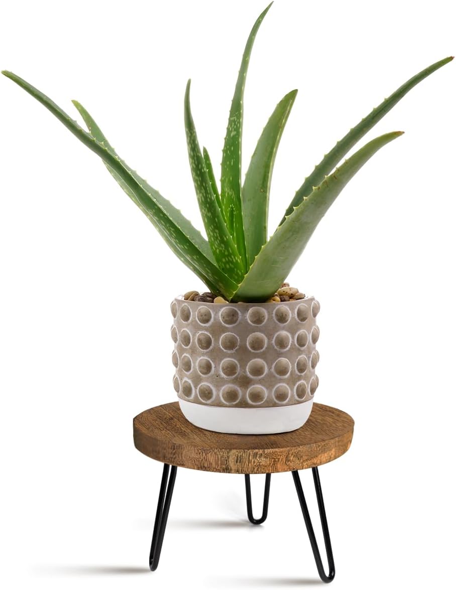 Amazon.com: ANLYAWX Indoor Wooden Plant Stand Holder for Sill, Desktop ...